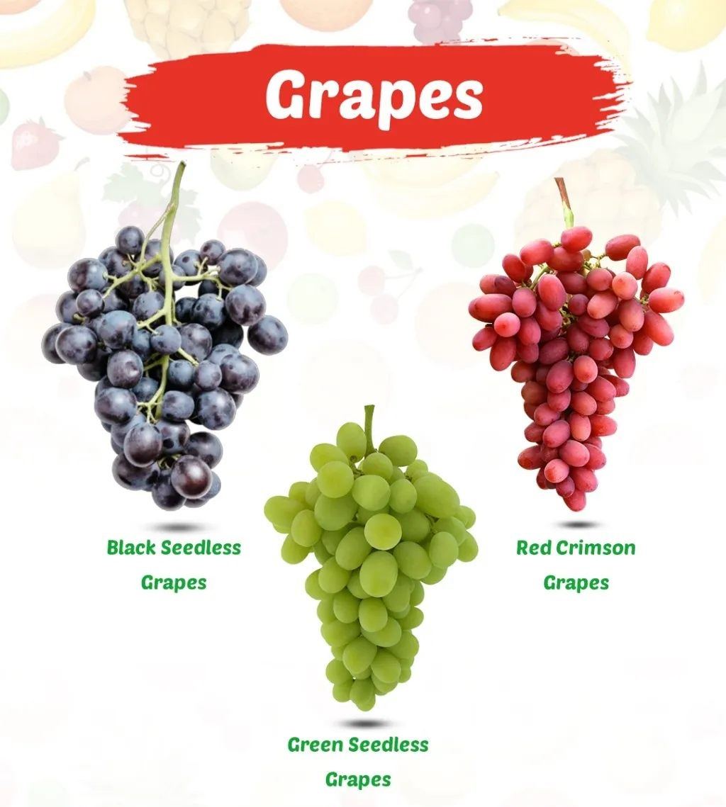 Table Grapes Exporter,Grower,Packers & Suppliers in South Africa